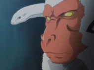 Zanpakutō Spirit/Image Gallery | Bleach Wiki | Fandom