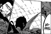 Robert Accutrone | Bleach Wiki | Fandom