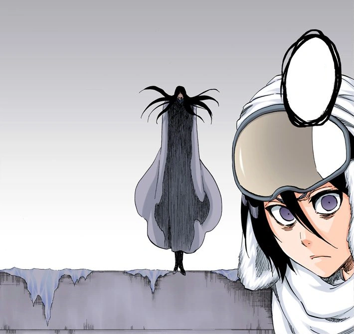 Rukia Kuchiki vs. Äs Nödt | Bleach Wiki | Fandom