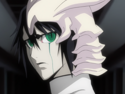 Ulquiorra Versione Finale