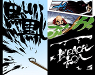 BLACK | Bleach Wiki | Fandom
