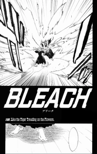 Chapitre 109 | Bleach Wiki | Fandom