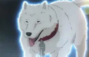 Shintarō | Bleach Wiki | Fandom