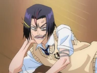 Ikkaku's Hot-Blooded Kendo Tale | Bleach Wiki | Fandom