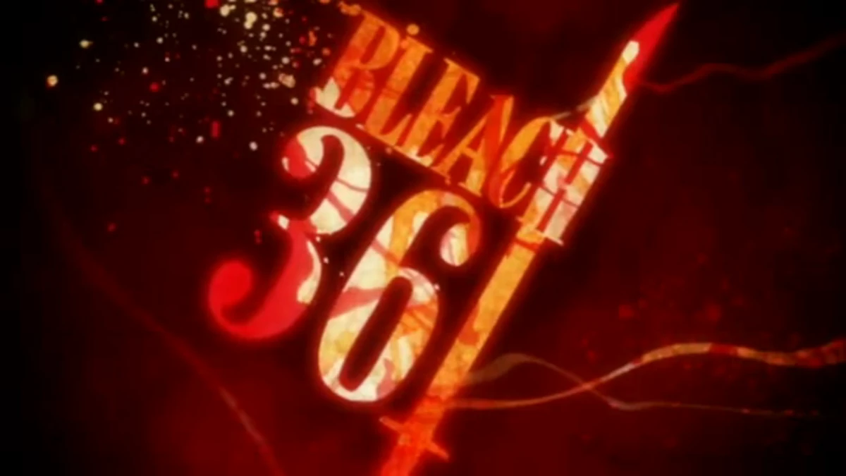 A New Appearance! Meet the Gotei 13! | Bleach Wiki | Fandom