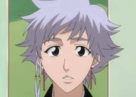 Isane Kotetsu/Anime Continuity | Bleach Wiki | Fandom