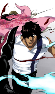 Ryoka Invasion | Bleach Wiki | Fandom