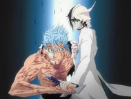 Espada/Image Gallery | Bleach Wiki | Fandom
