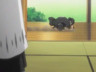 Tetsuzaemon Iba/Image Gallery | Bleach Wiki | Fandom