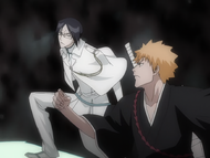 Good Bye Halcyon Days | Bleach Wiki | Fandom