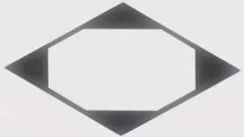 Gotei 13 | Bleach Wiki | Fandom