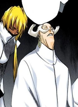 Bleach Halibel Release Form