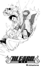 The Blade and Me | Bleach Wiki | Fandom