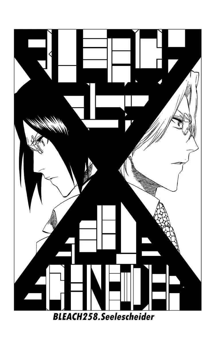 Chapitre 258 | Bleach Wiki | Fandom