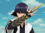 Suì-Fēng/Anime Continuity | Bleach Wiki | Fandom