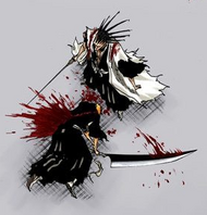 Ryoka Invasion | Bleach Wiki | Fandom