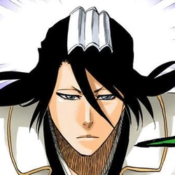 Bleach Characters Captains