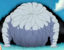 Hooleer | Bleach Wiki | Fandom