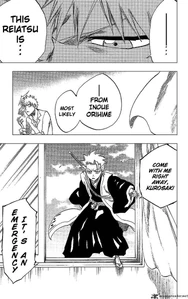 238. Eagle Without Wings | Bleach Wiki | Fandom