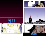BATTLE FIELD BURNING | Bleach Wiki | Fandom