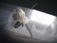 Cursed Parakeet | Bleach Wiki | Fandom