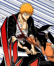 Bankai Training | Bleach Wiki | Fandom