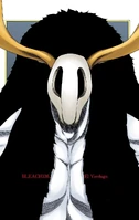 Ayon/Image Gallery | Bleach Wiki | Fandom