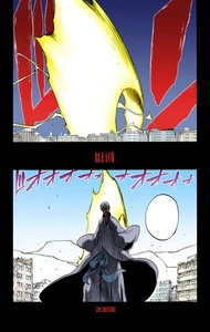 BACK FROM BLIND | Bleach Wiki | Fandom