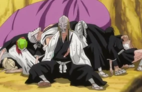 Galeria de Imagens Vizards | Bleach Wiki | Fandom