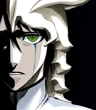 Good Bye Halcyon Days | Bleach Wiki | Fandom