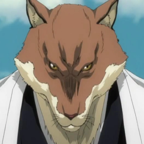 Sajin Komamura | Bleach3Phantom Wiki | Fandom