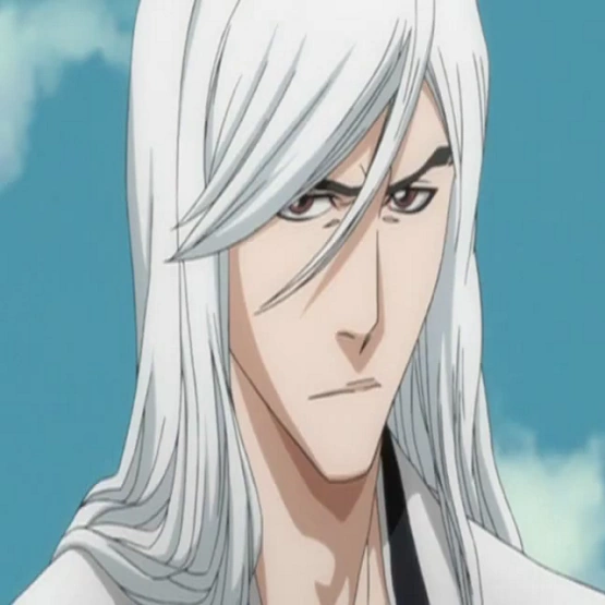 13th Division | Bleach3Phantom Wiki | Fandom