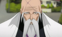 Genryūsai Shigekuni Yamamoto | Bleach: Akujin Saga Wiki | Fandom