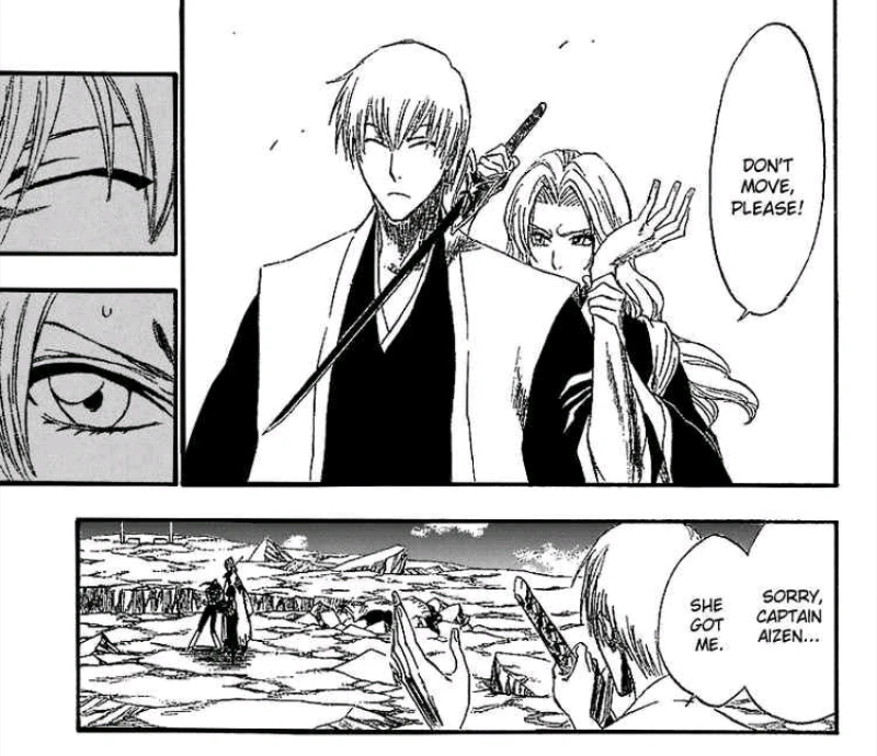 GinRan/Gallery | Bleach Couples Wiki | Fandom