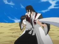 ByaRuki | Bleach Couples Wiki | Fandom