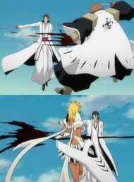 Sōsuke Aizen (Seireitou) | Bleach Fan Fiction Wiki | Fandom