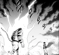 White Tiger (Epz) | Bleach Fan Fiction Wiki | Fandom