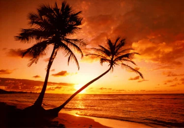 Kenji's Inner World | Bleach Fan Fiction Wiki | Fandom