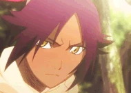 Yoruichi Shihōin (Seireitou) | Bleach Fan Fiction Wiki | Fandom