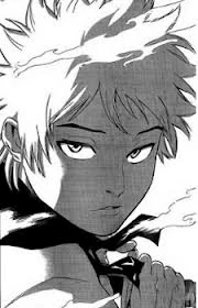Taisei Busujima | Bleach Fan Fiction Wiki | Fandom