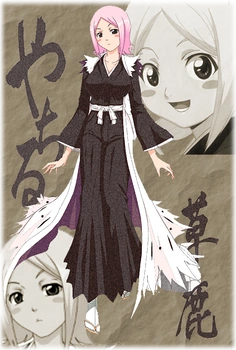 Eleventh Division Pendulum | Bleach Fan Fiction Wiki | Fandom