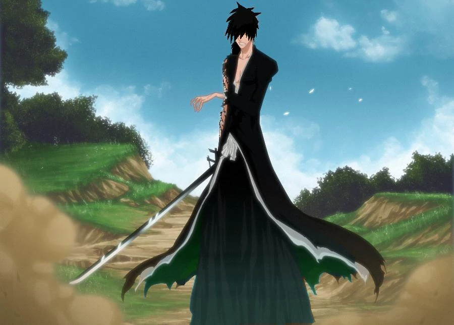 Bleach: Ketsurui: Second Hollow Supression! | Bleach Fan Fiction Wiki ...