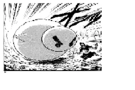 Lurichia Seine | Bleach Fan Fiction Wiki | Fandom