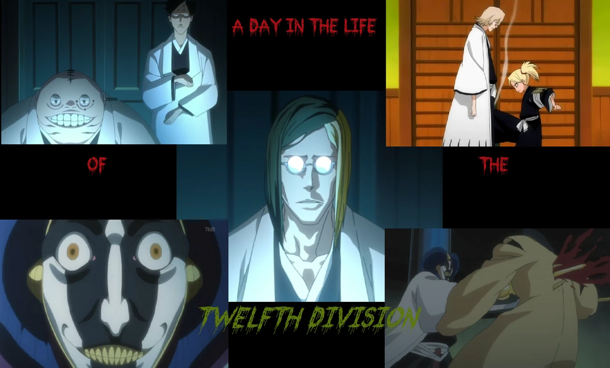 A Day in the Life of the Twelfth Division | Bleach Fan Fiction Wiki ...