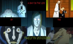 A Day in the Life of the Twelfth Division | Bleach Fan Fiction Wiki ...