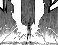 Shunkō (Seireitou) | Bleach Fan Fiction Wiki | Fandom