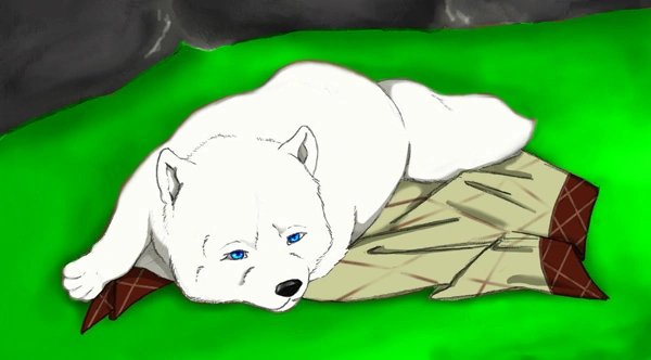 Nemuri | Wiki Bleach FanLabor | Fandom