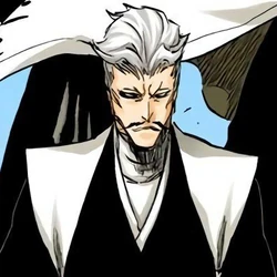 Chōjirō Sasakibe | Bleach Fan Works Wiki | Fandom