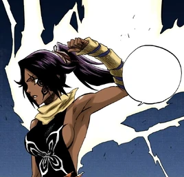 Shunkō | Bleach Fan Works Wiki | Fandom