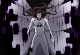 Transcendent | Bleach Fan Works Wiki | Fandom